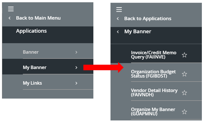 FIS User Manual