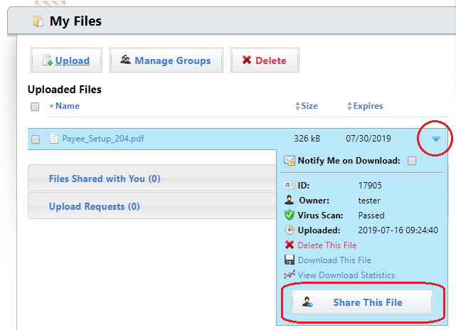 Payee Setup 204 Form Helper